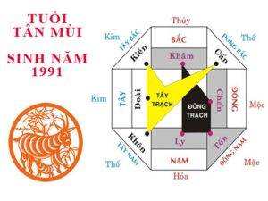 Tuổi Tân Mùi 1991 Hợp Hướng Nào Đón May Mắn, Tài Lộc
